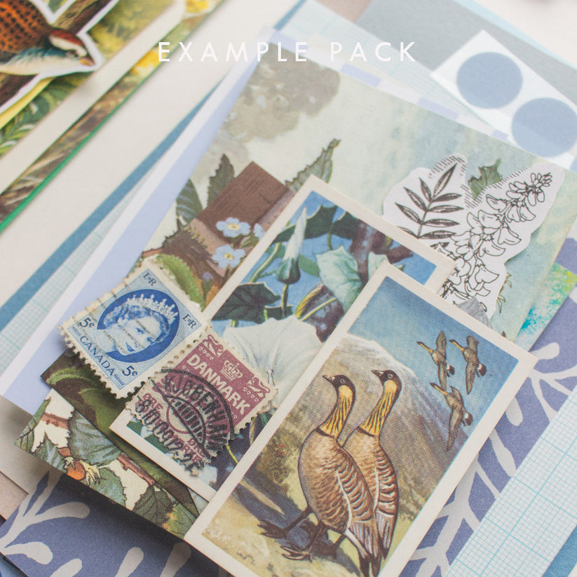 Collaging, Junk Journalling & Scrapbooking Scrap Pack – Salt Art Supply
