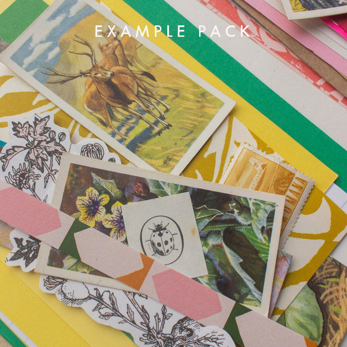 Collaging, Junk Journalling & Scrapbooking Scrap Pack – Salt Art Supply