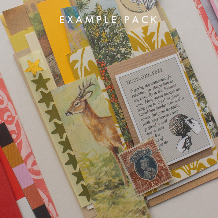 Collaging, Junk Journalling & Scrapbooking Scrap Pack – Salt Art Supply