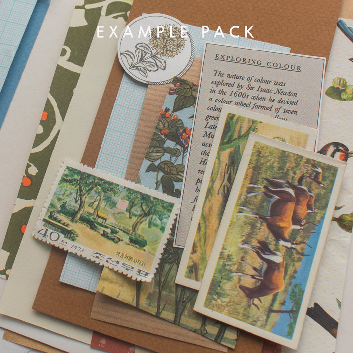 Collaging, Junk Journalling & Scrapbooking Scrap Pack – Salt Art Supply